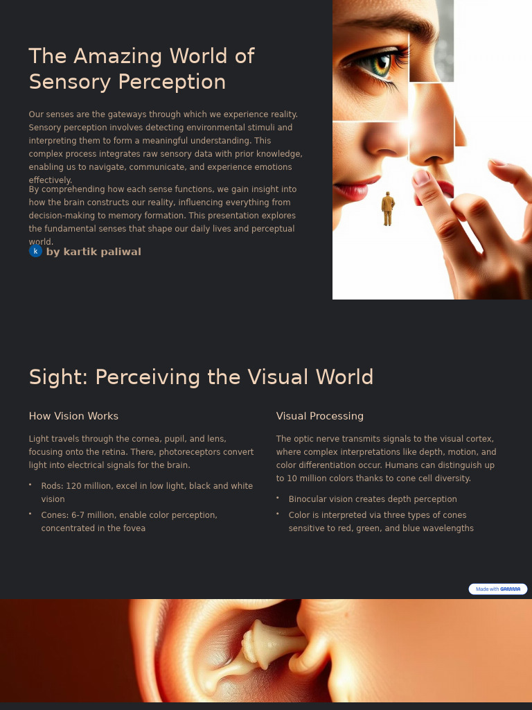 Understanding Sensory Perception | PDF | Senses | Taste