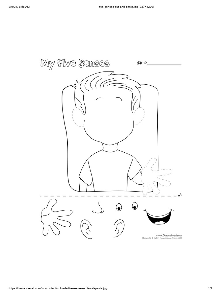FIve Senses Cut and Paste | PDF