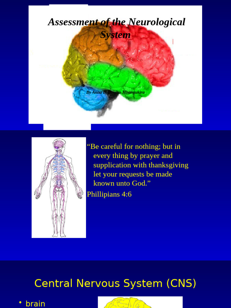 Assessment of The Neurological System | PDF | Central Nervous System ...