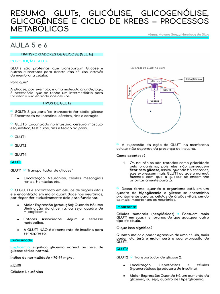 RESUMO GLUTs, GLICÓLISE, GLICOGENÓLISE | PDF | Ciclo do ácido cítrico ...