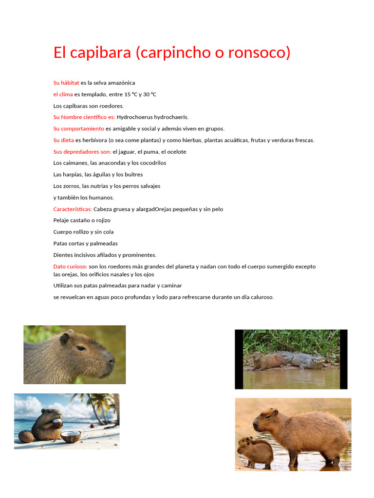 El Capibara | PDF