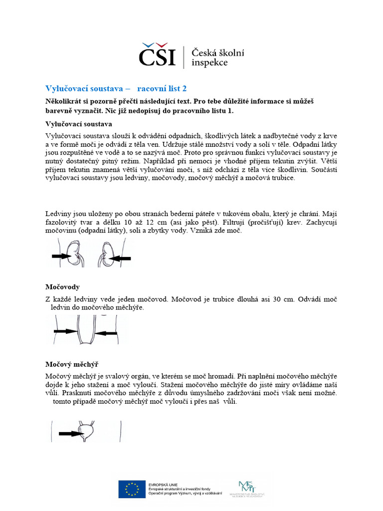 Vylucovaci Soustava Pracovni List 2 | PDF