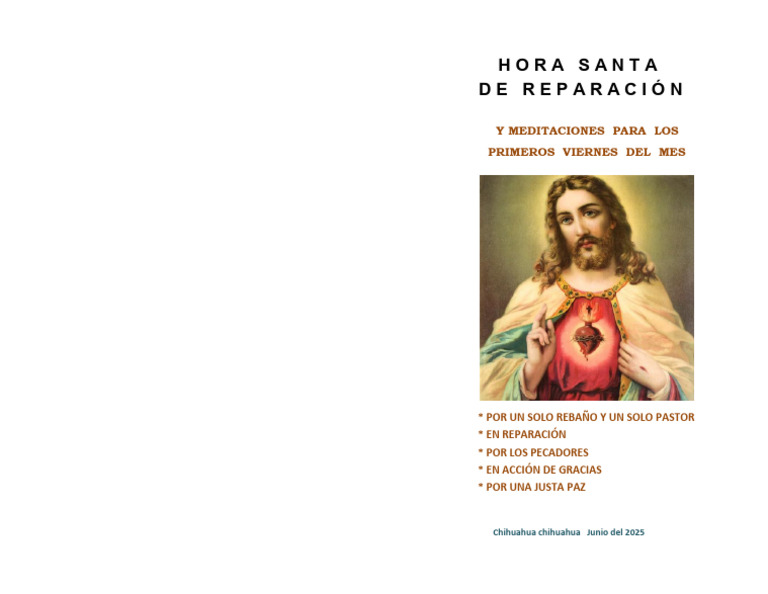 Pasta Del Sagrado Corazon de Jesus 2025 | PDF