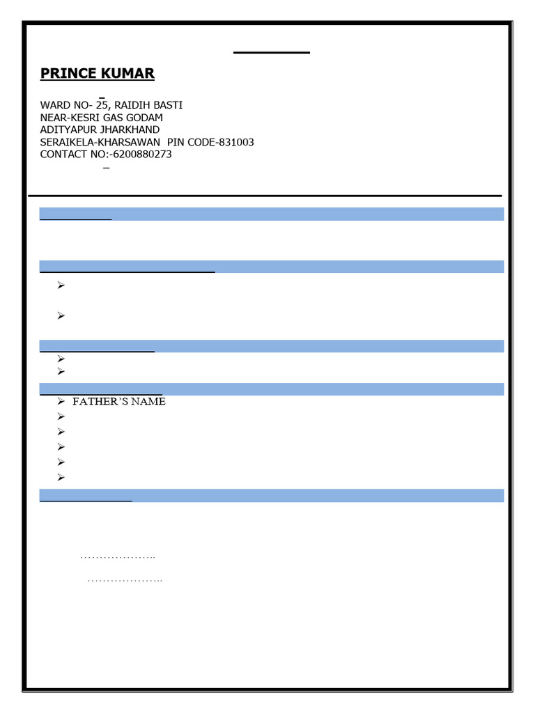 Resume: Prince Kumar | PDF