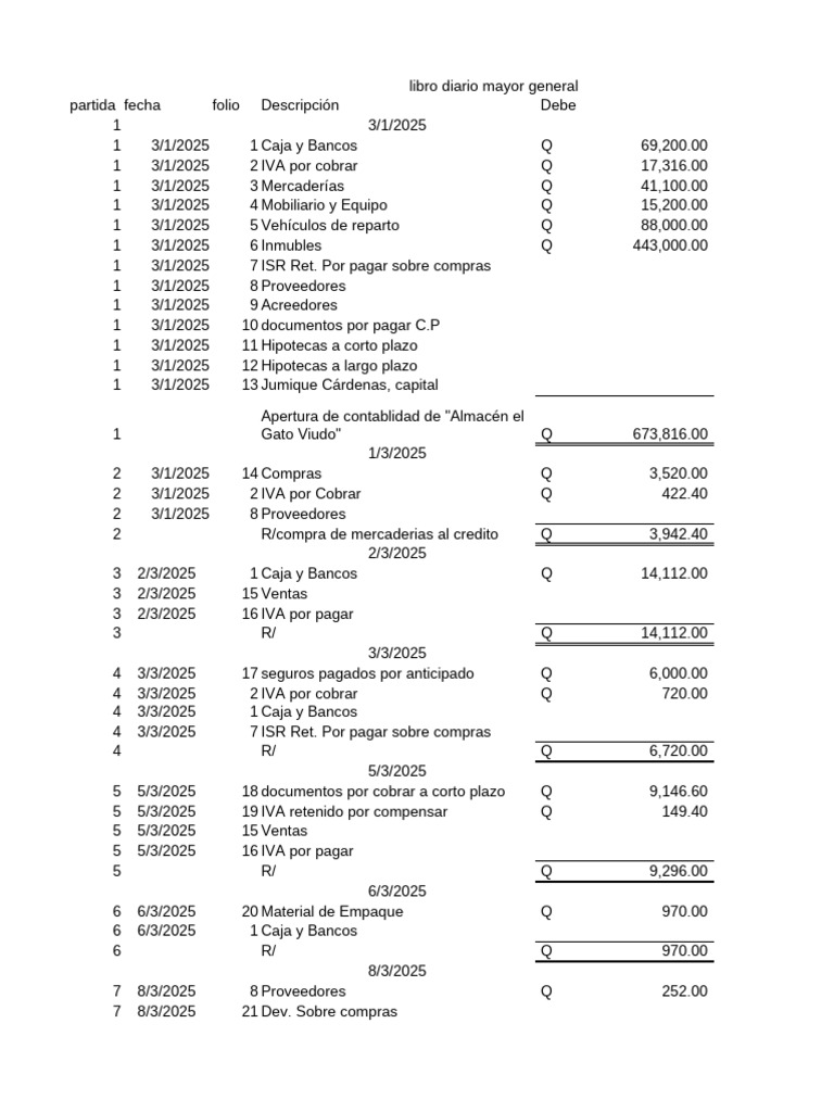 Libro Diario Mayor General 2025 | PDF | Dinero | Servicios financieros
