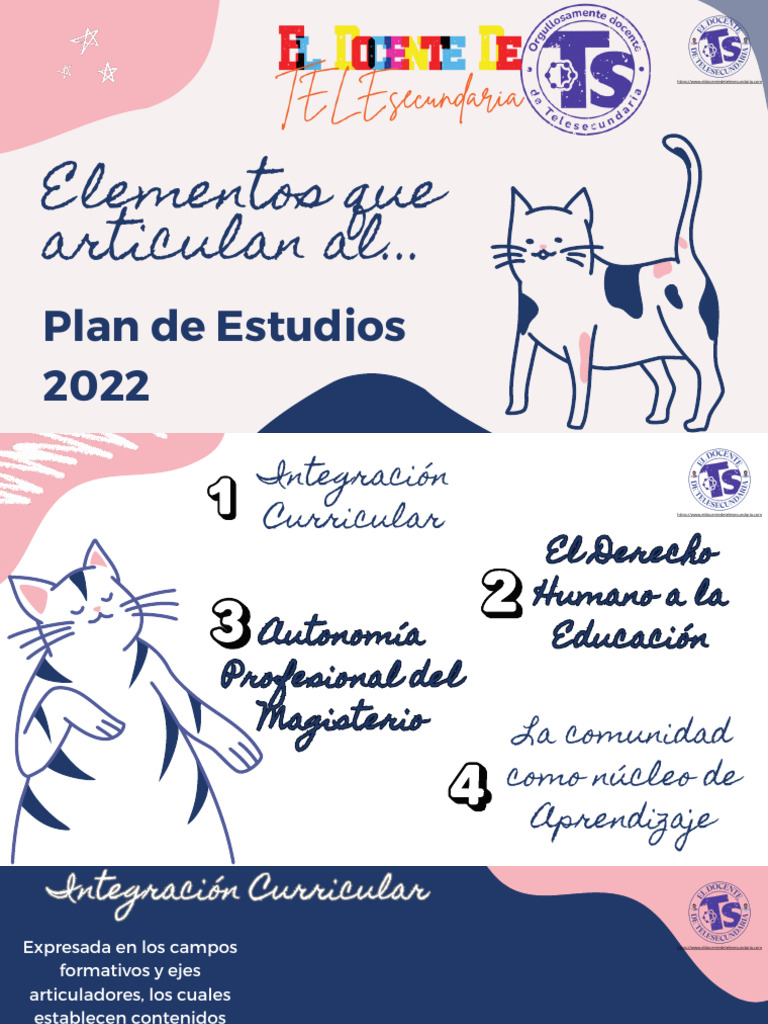 30 Elementos Del Plan de Estudios 2022 | PDF | Plan de estudios | Enseñando