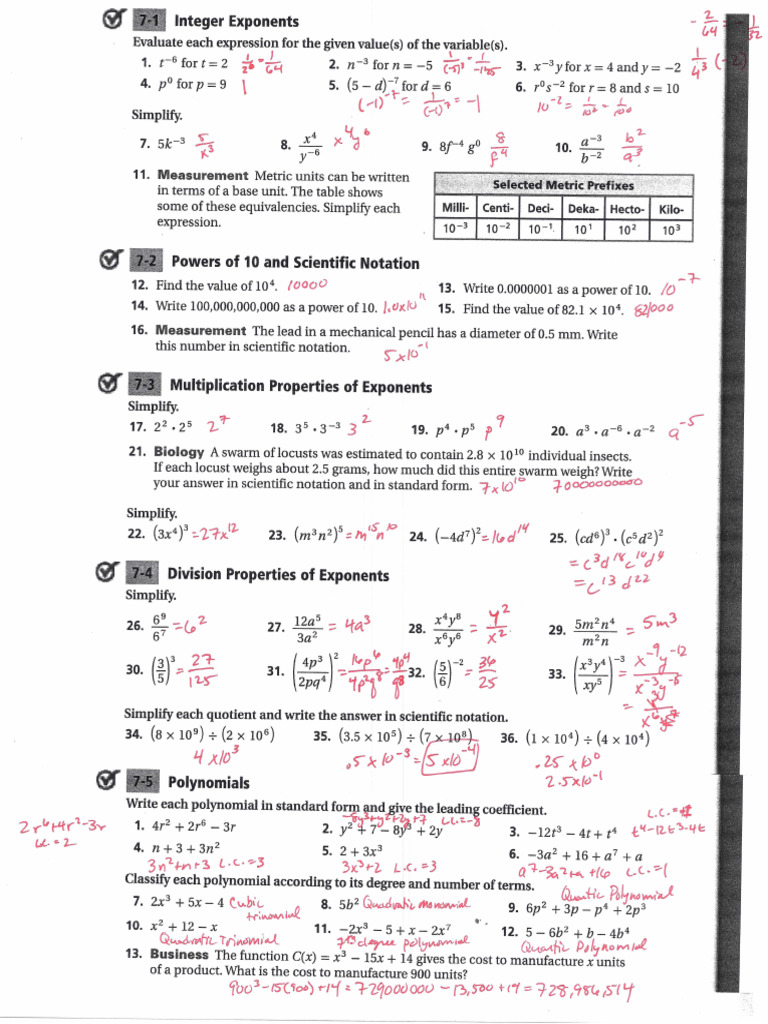 Quiz Review Key | PDF