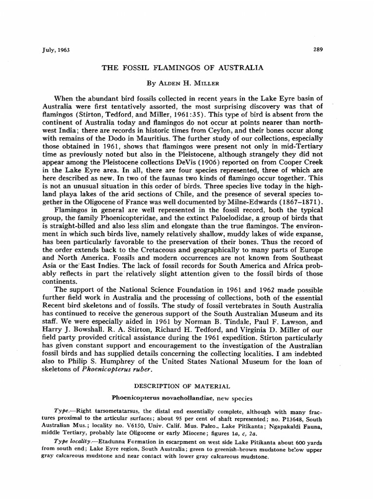 Fossil Flamingos from Australia | PDF
