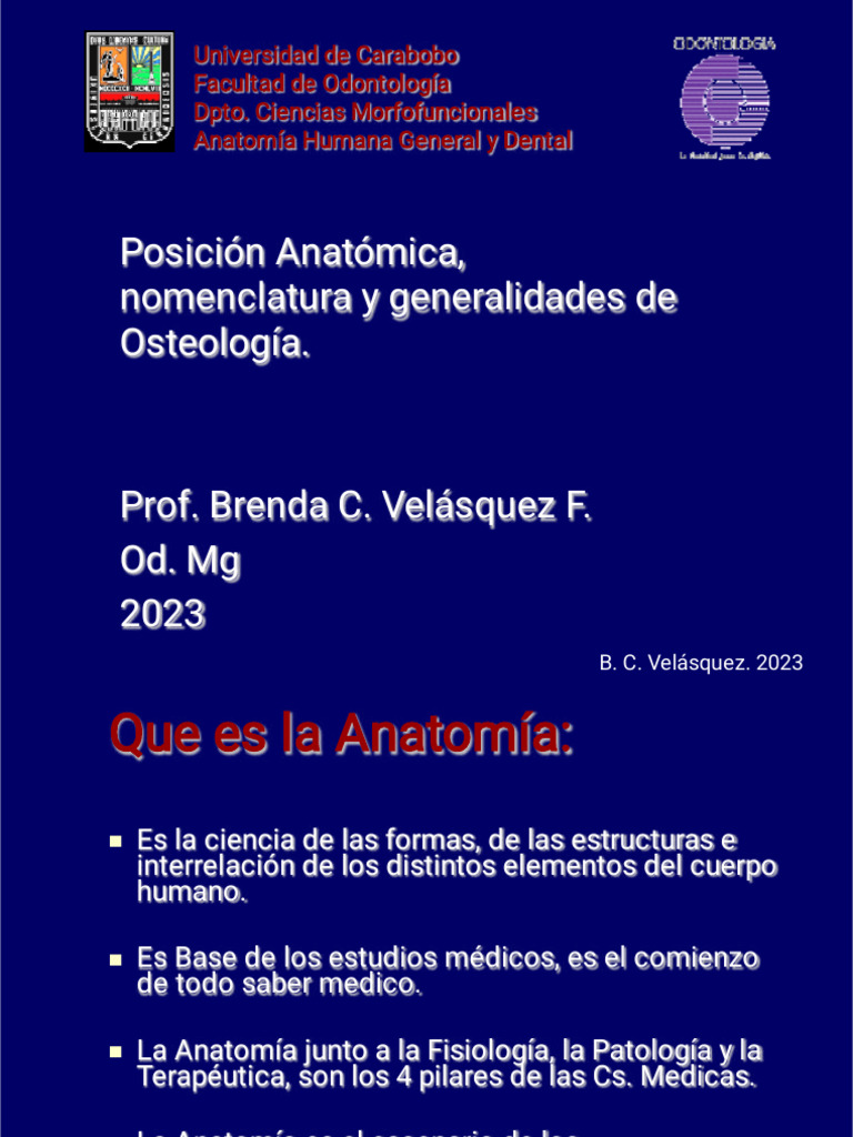 Nomenclatura, Posición Anatomica-1 | PDF | Términos anatómicos de ...