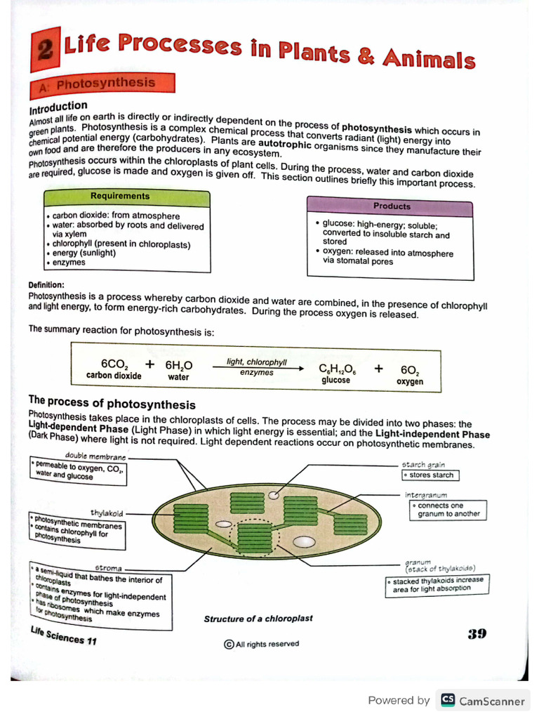 Photosynthesis, Nutrition and Respiration | PDF