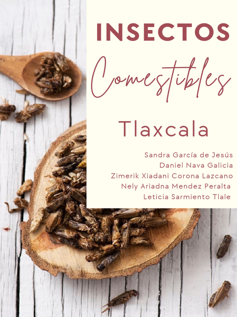 Insectos Comestibles Version Final | PDF | Miel