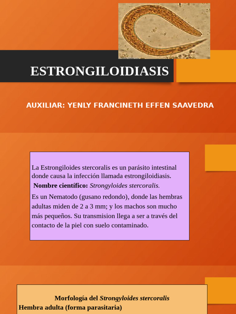 ESTRONGILOIDIASIS Huujugufdryjkooolkjhgg | PDF | Nematodo | Hembra