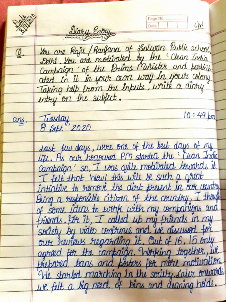 English Diary Entry Assignment | PDF