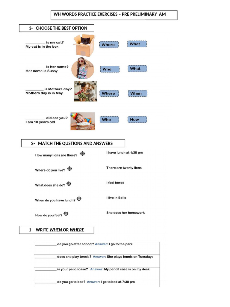 WH Words Practice | PDF