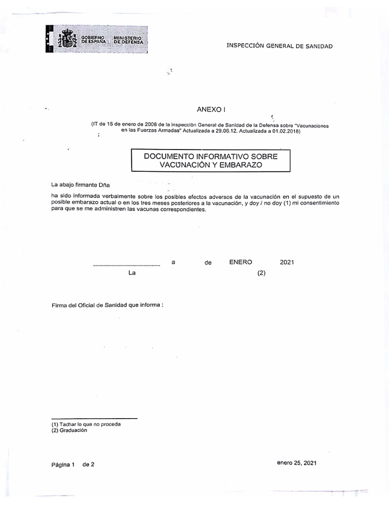 Documento Informativo Embarazo (Cendala) | PDF