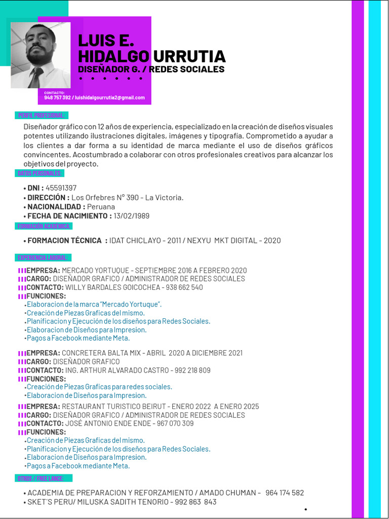 CV Luis Hidalgo Urrutia DG | PDF