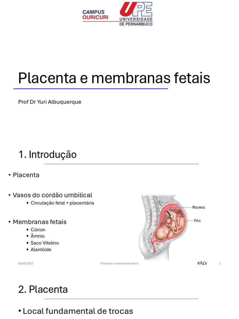 Funções da Placenta e Membranas Fetais | PDF | Placenta | Anatomia