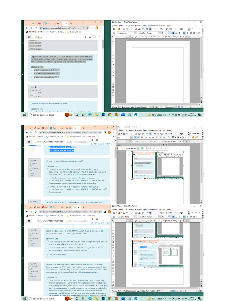 Examen Accesibilidad | PDF