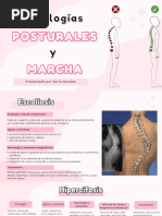 Marcha en Tijera y de Trendelenburg | PDF | Pelvis | Especialidades Medicas