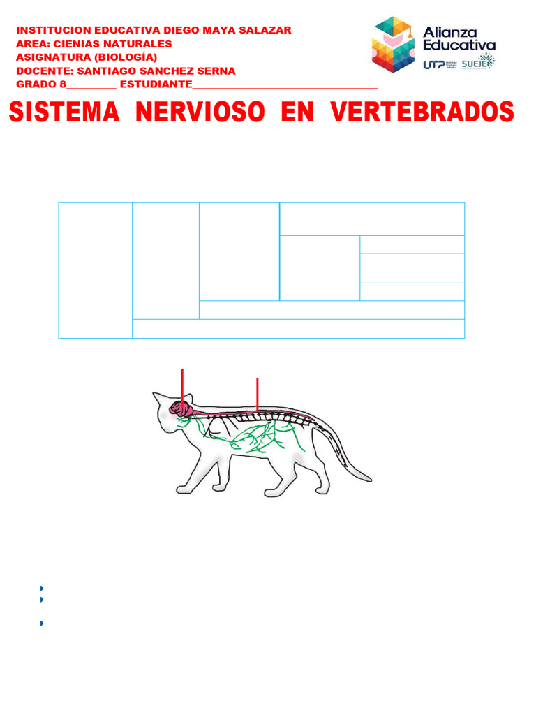 Sistema Ner. 8 | PDF | Cerebro | Sistema nervioso