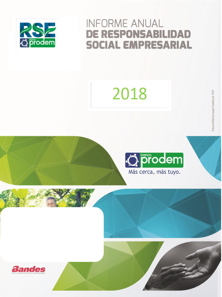 636979489415053531INFORME de RSE Gestion 2018 | PDF | Responsabilidad ...