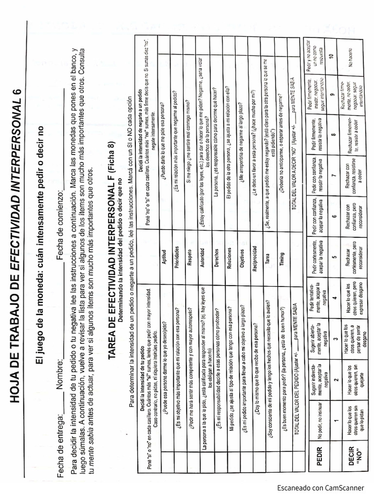 Ficha Efectividad Interpersonal Juego de La Moneda DBT | PDF