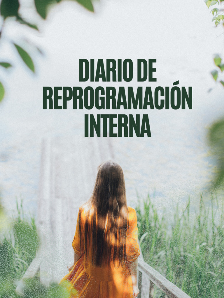 Diario de Reprogramación | PDF