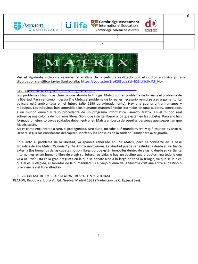 Resumen y análisis de Matrix | PDF | René Descartes | Platón