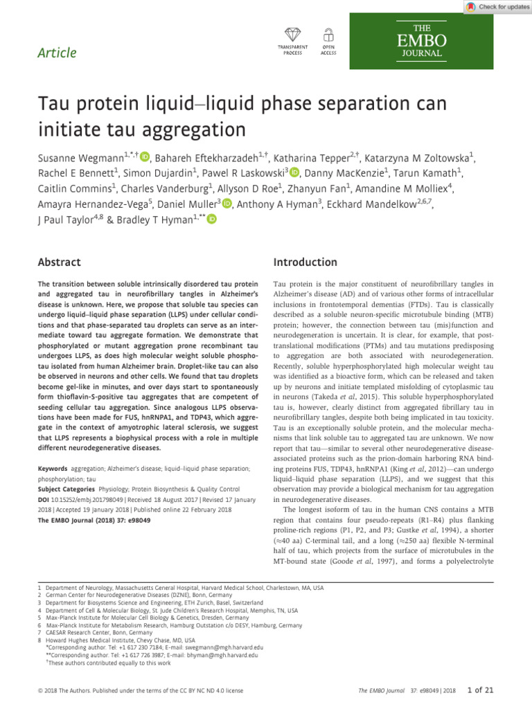 Tau Protein Phase Separation in Alzheimer's | PDF | Macromolecules ...