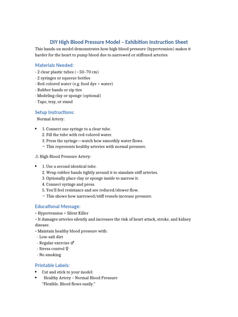 DIY High Blood Pressure Model | PDF