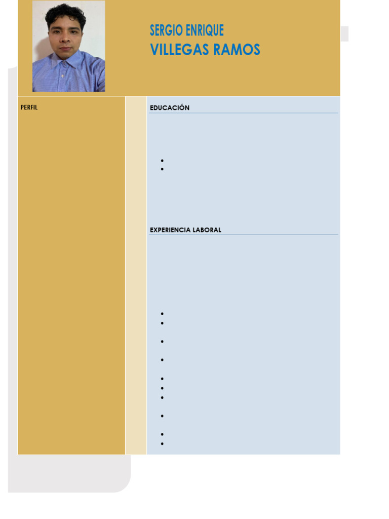 CV - Sergio Enrique | PDF | Business