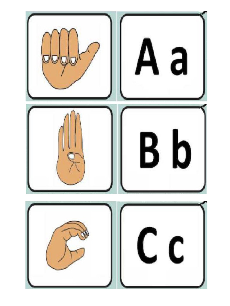 ABC Manual LSM | PDF