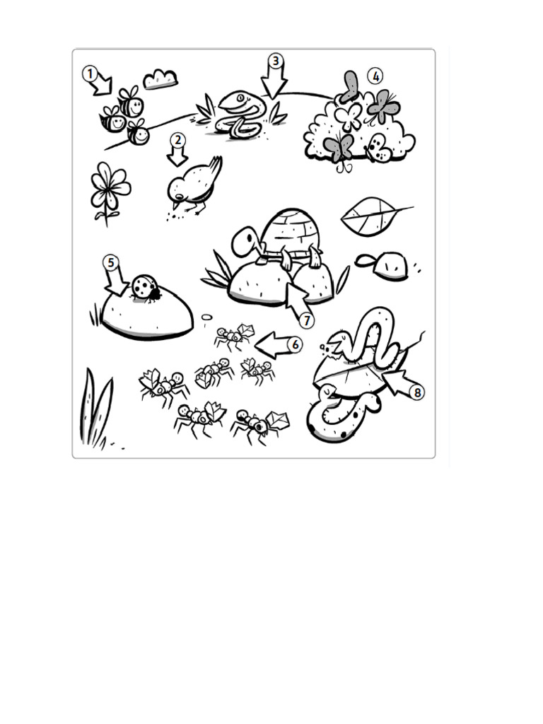 Insects and Prepositions | PDF