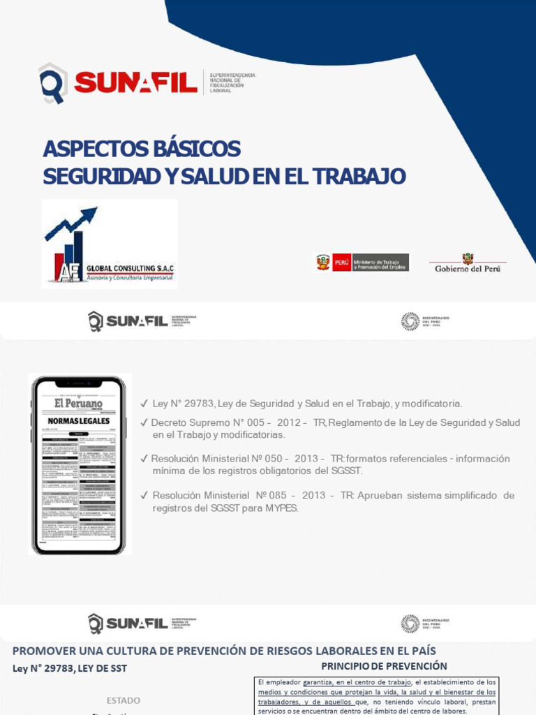 Aspectos Básicos de SST | PDF