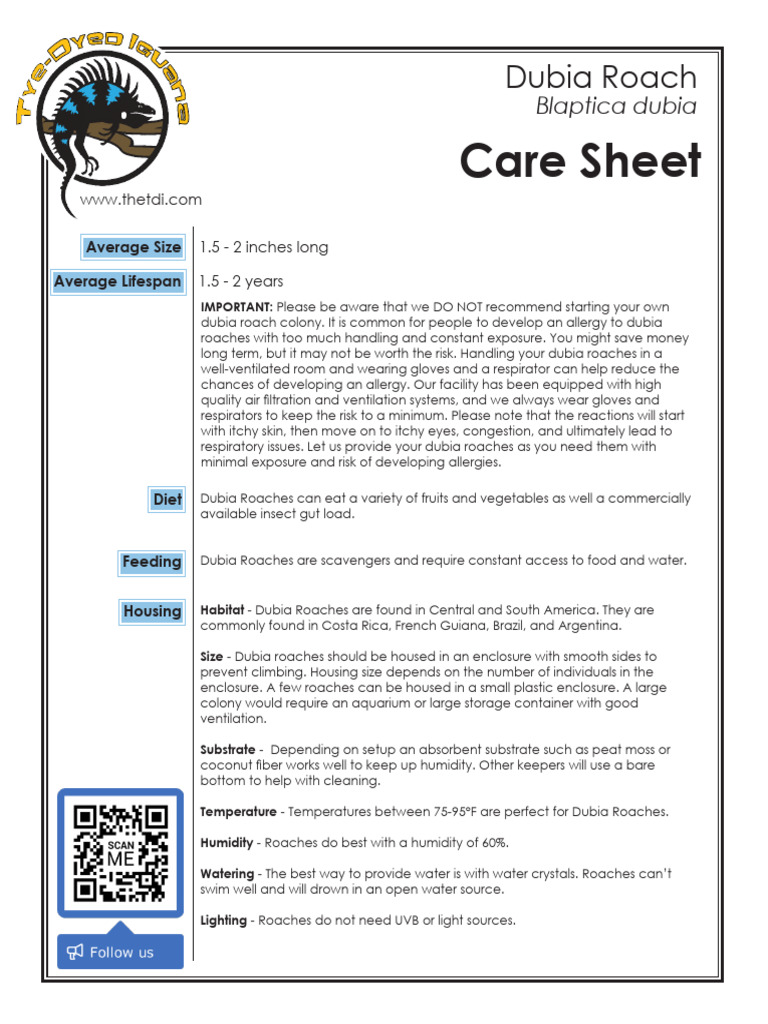 Dubia Cockroach Blaptica Care Sheet | PDF