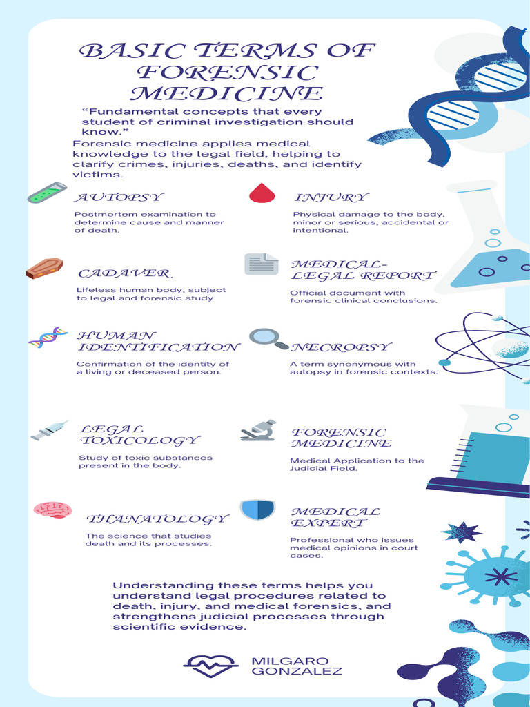 English Infographic | PDF