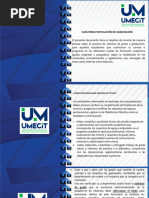 Guía del Egresado UTP 2025 | PDF | Plagio | Acceso abierto