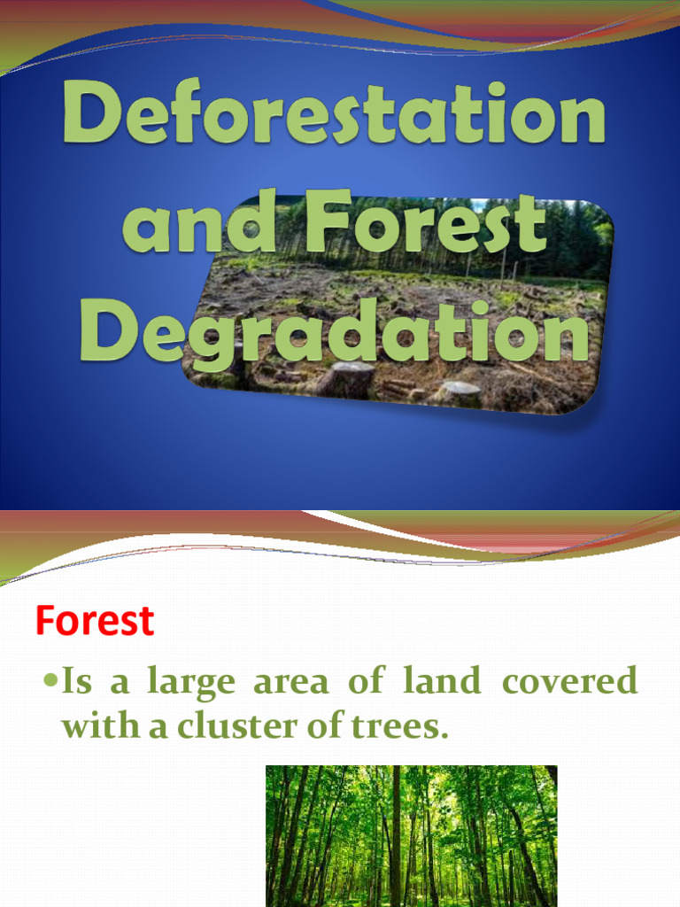 UNIT 6. Deforestation and Forest Degradation 1 | PDF | Deforestation | Soil
