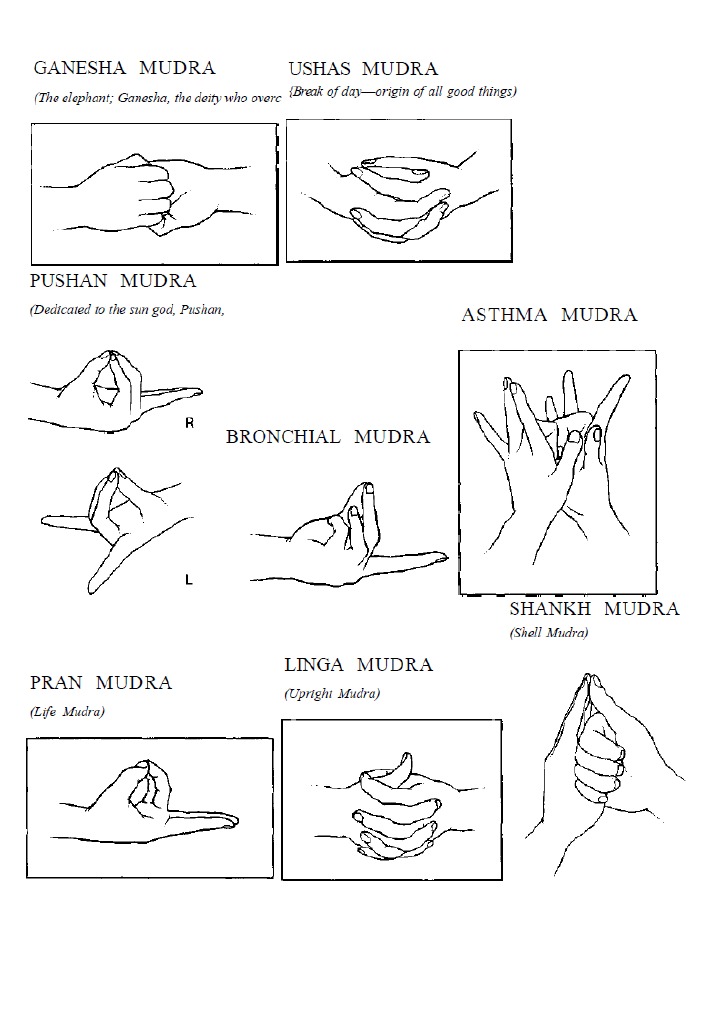 mudra's