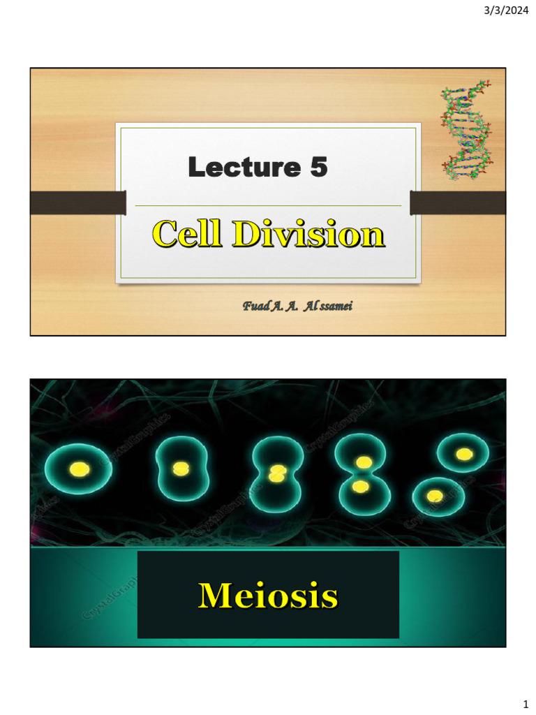 Understanding Meiosis: Gamete Formation | PDF | Meiosis | Ploidy
