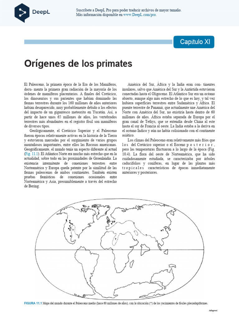 Orígenes y evolución de los primates | PDF | Zoología | Taxonomía de ...