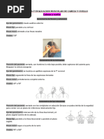 Test de Schober | PDF