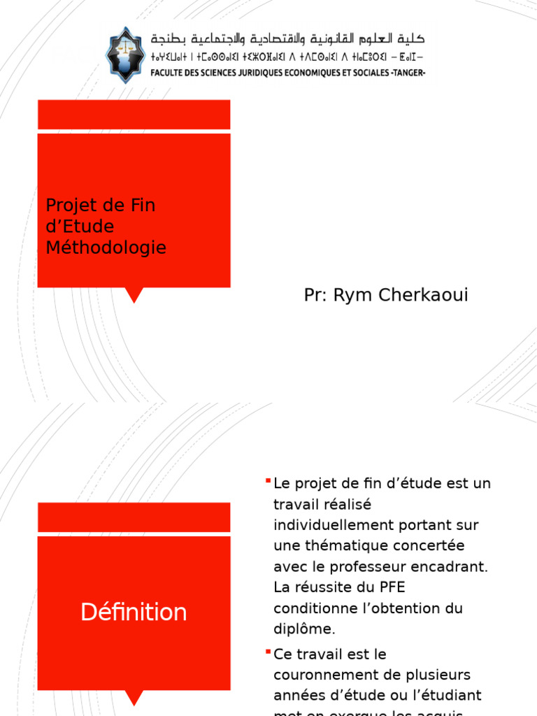 LE PFE | PDF | Guillemet