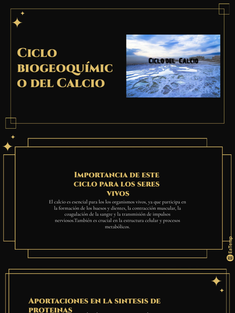 Presentacion Del Calcio | PDF
