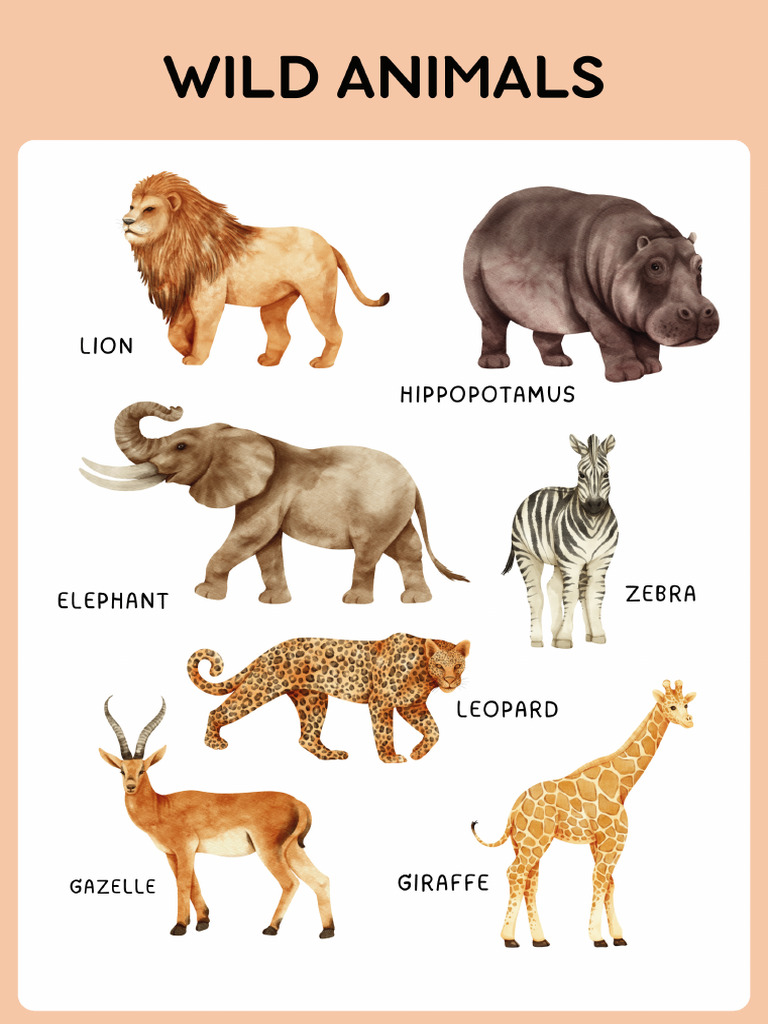 Wild Animals Poster Cream Illustrative | PDF