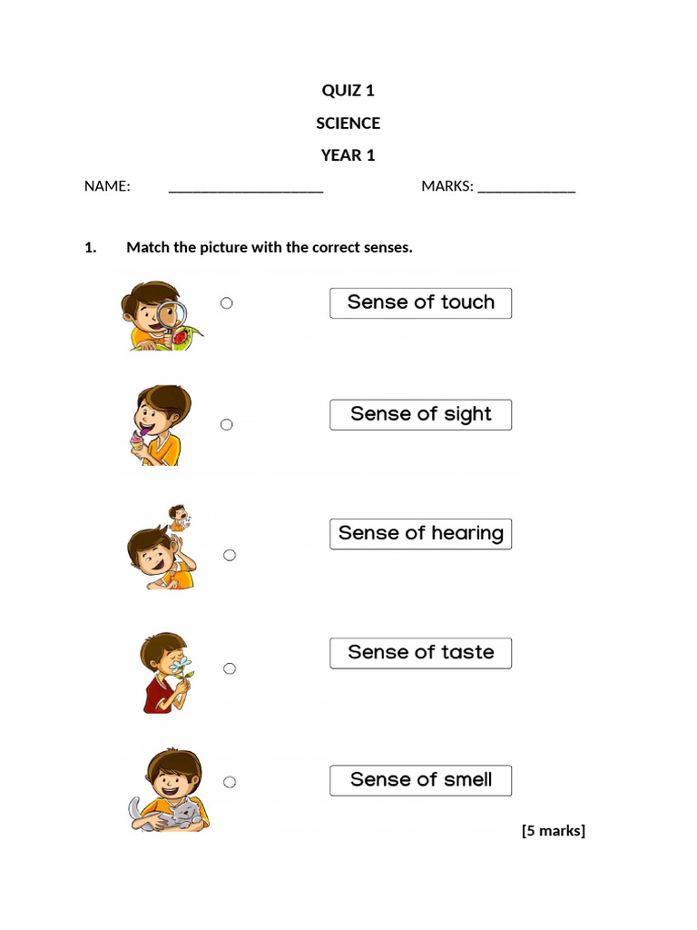 Quiz 1 Science Year 1: Name: - MARKS | PDF