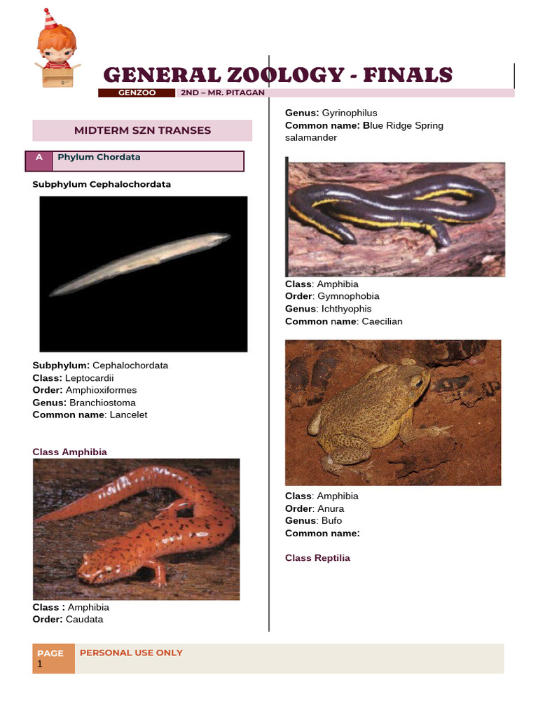 Zoology - Final Laboratory | PDF | Zoology