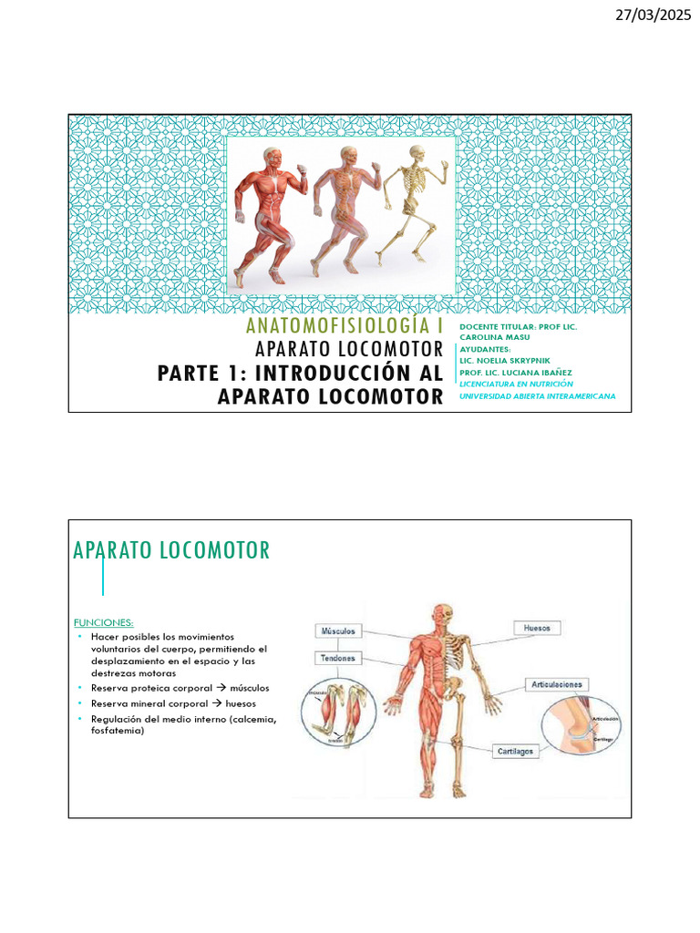 Anatomofisiología del Aparato Locomotor | PDF | Hueso | Cartílago