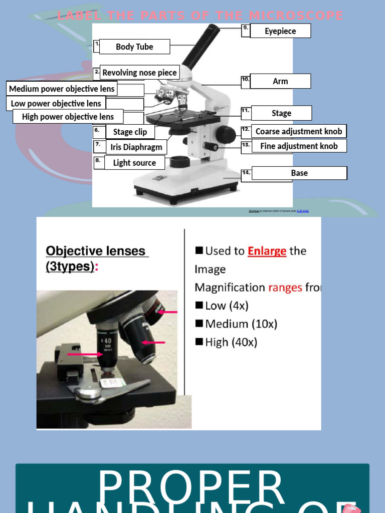 Microscope Parts and Proper Handling Guide | PDF | Optics | Microscopy