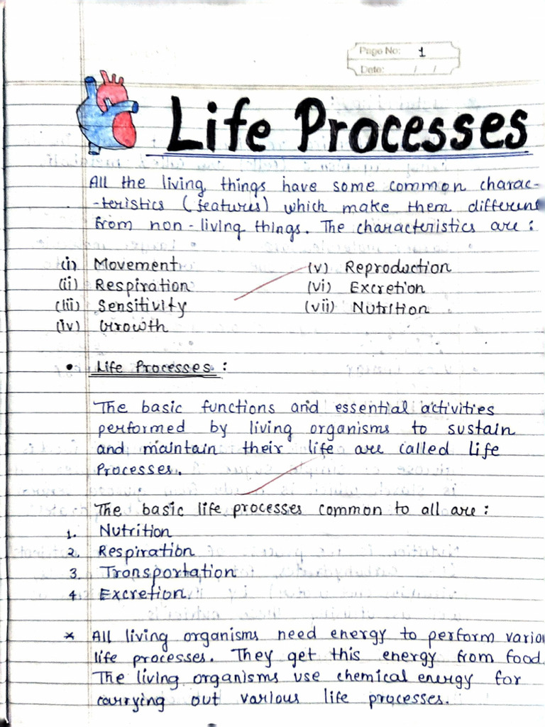 Class 10 Biology CH 1 Life Processes Notes | PDF